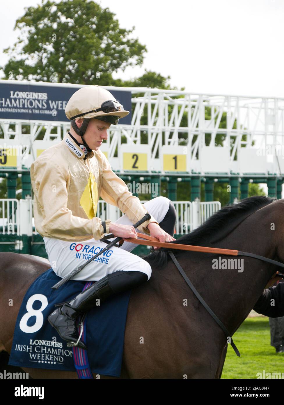Jockey Oisin McSweeney on Catch Cunningham at York Races Stock Photo ...