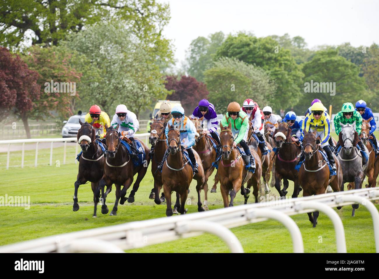 Horses galloping away from the start at York Racecourse Stock Photo - Alamy