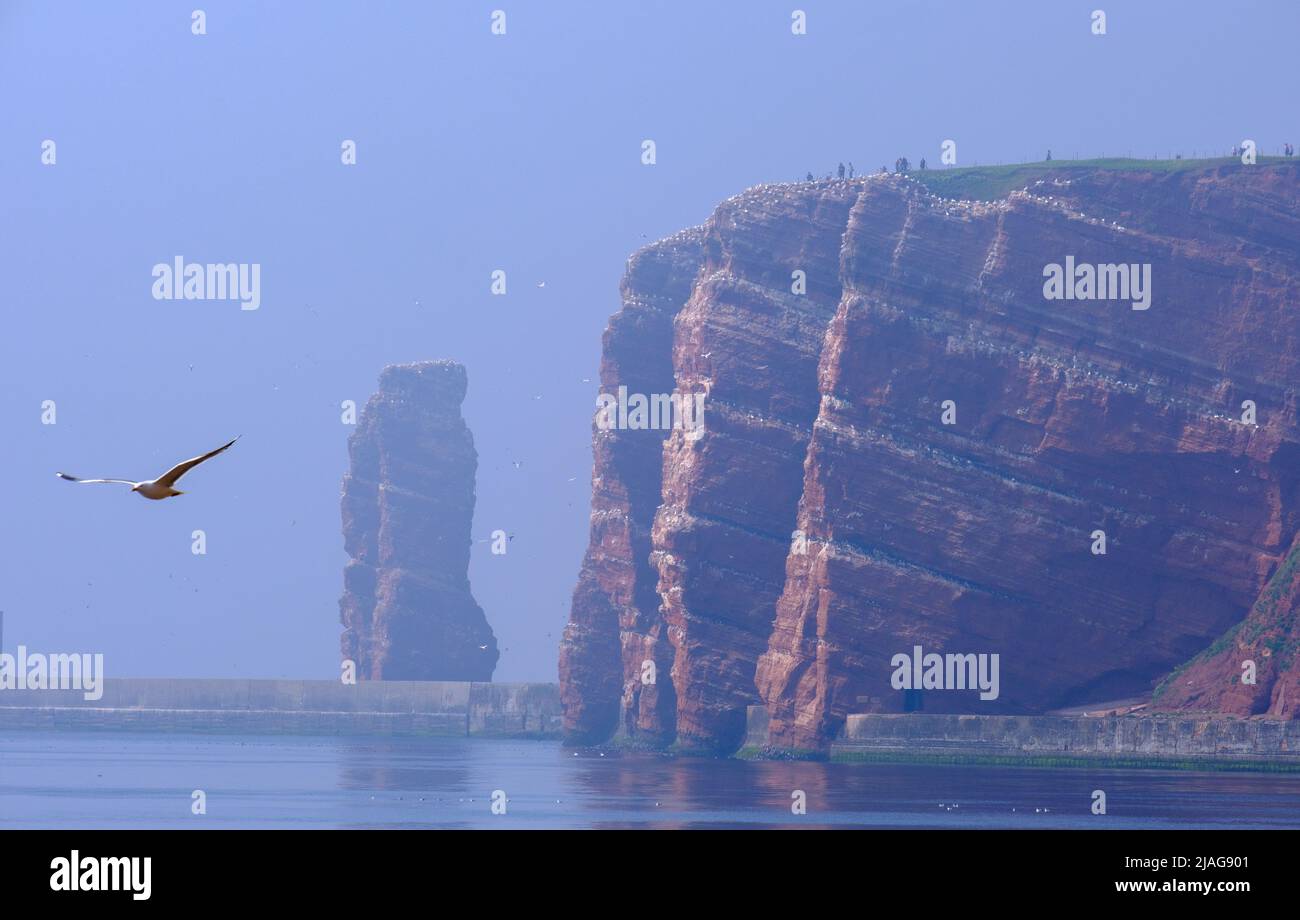 Red sandstone cliffs of German North Sea island of Helgoland with the ...