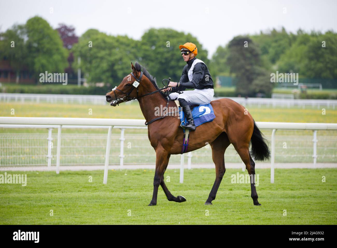 James doyle jockey hi-res stock photography and images - Alamy