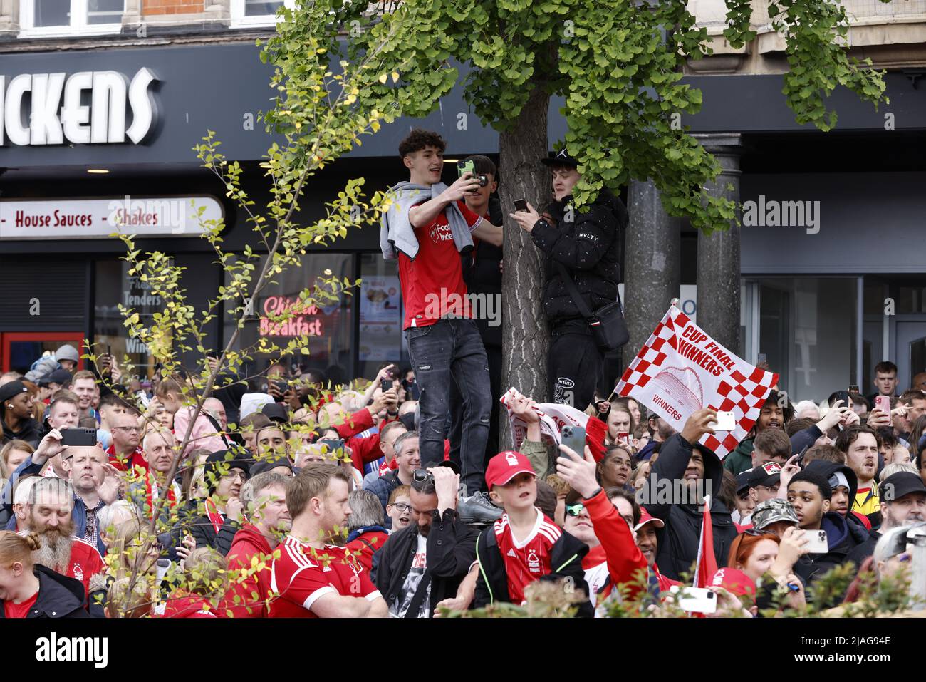 Forest promotion celebrations hi-res stock photography and images - Alamy