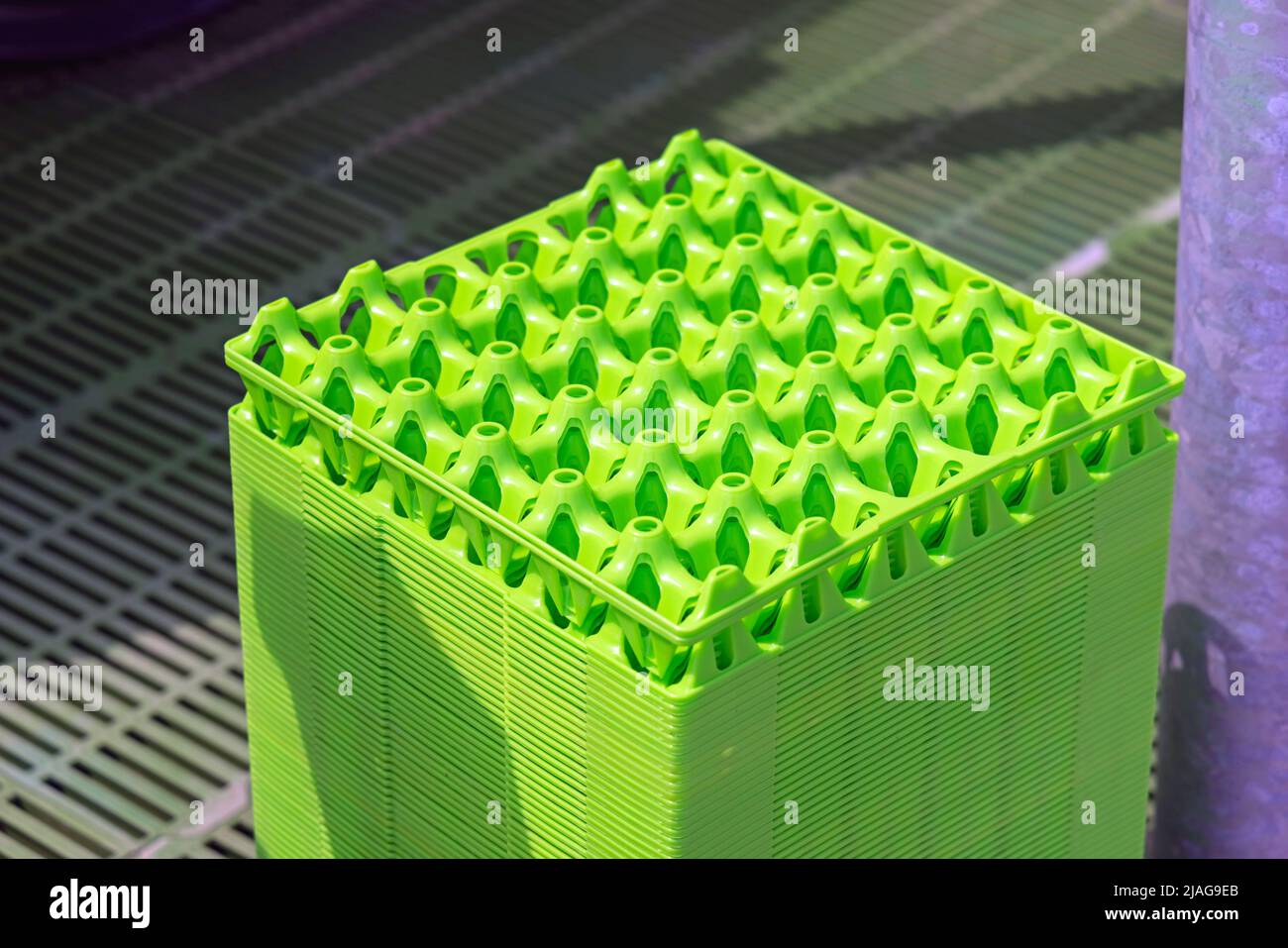 Green Plastic Eggs Tray Holder Stack Farm Equipment Stock Photo - Alamy