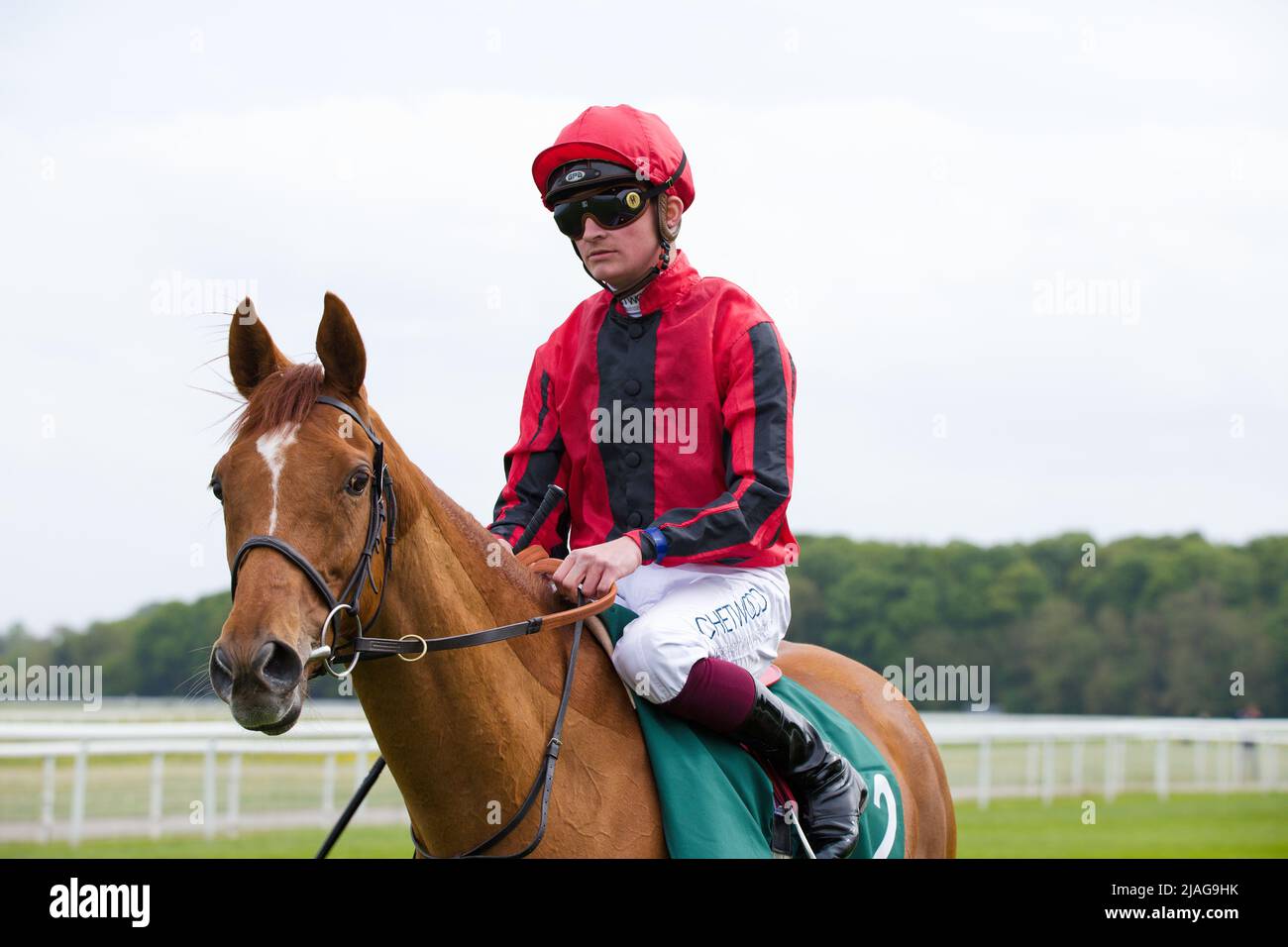Jockey Rob Hornby on Max Vega at York Races Stock Photo - Alamy