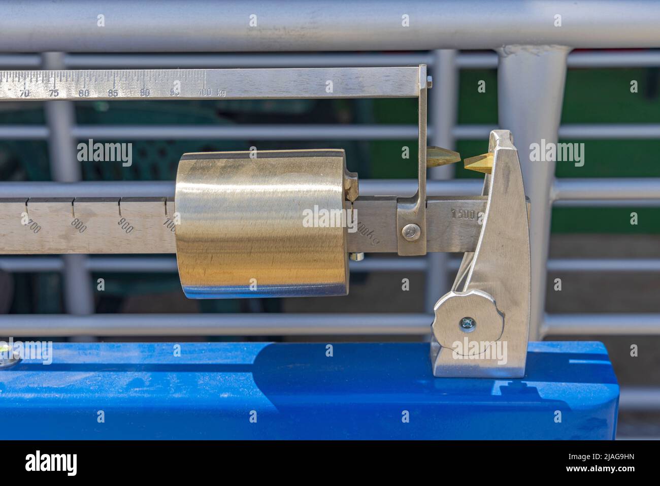 Balance Beam Sliding Scale Measuring Mass and Weight Industrial ...