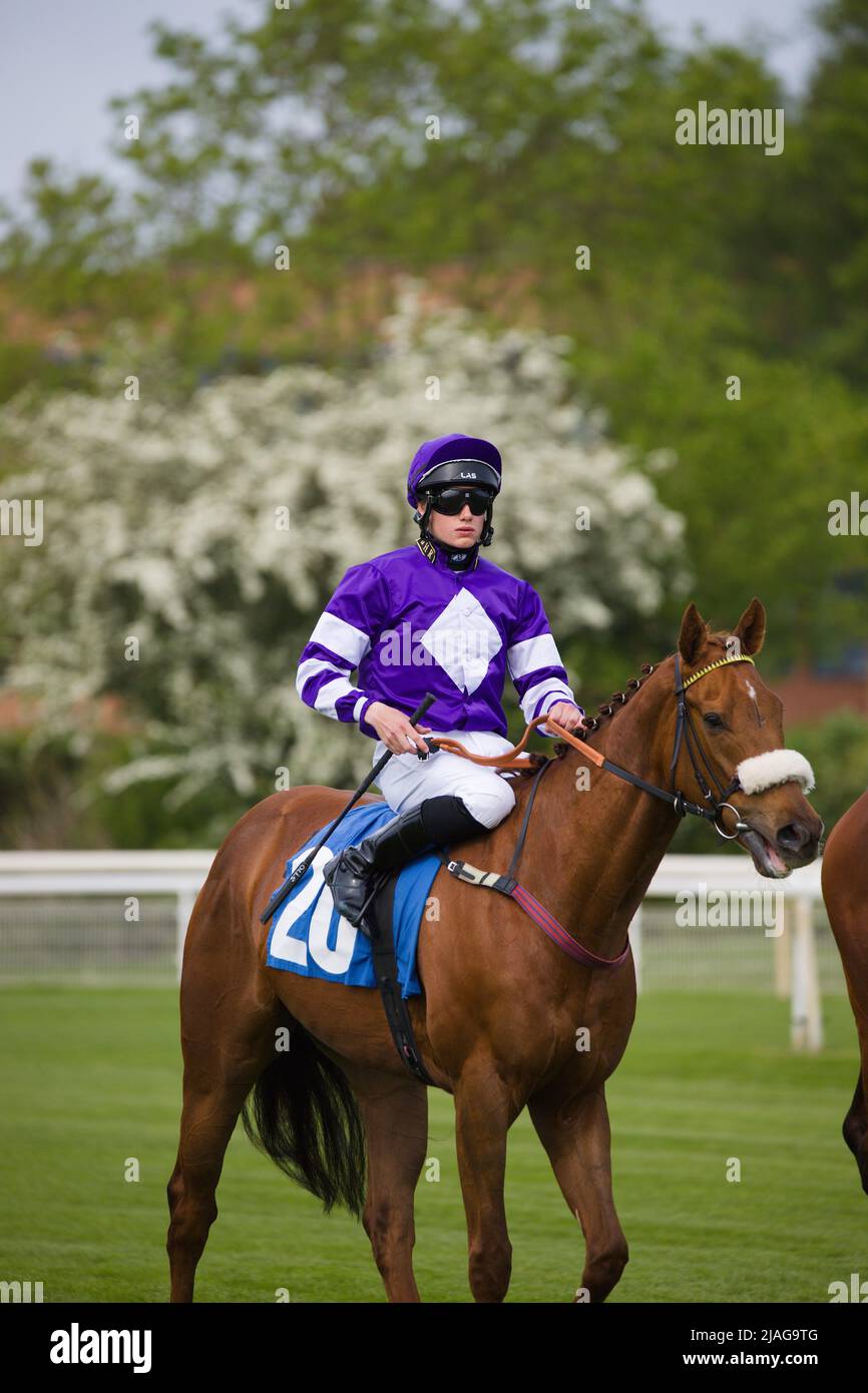 Fleetwood pier horse hi-res stock photography and images - Alamy