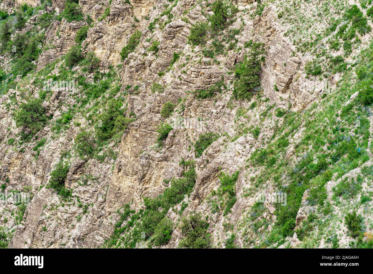 landscape of a mountain slope with weathered rocks and screes covered ...
