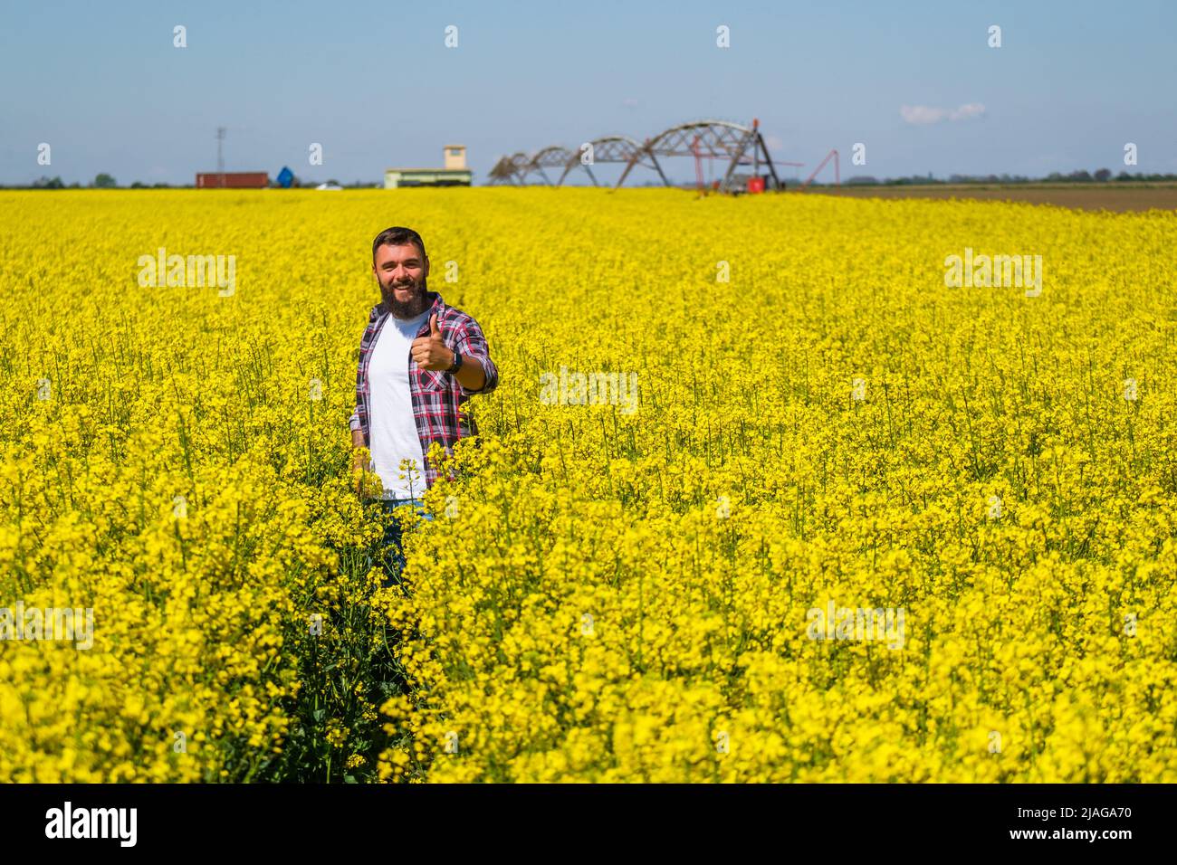 Portrait of happy and successful farmer who is standing in his rapeseed ...