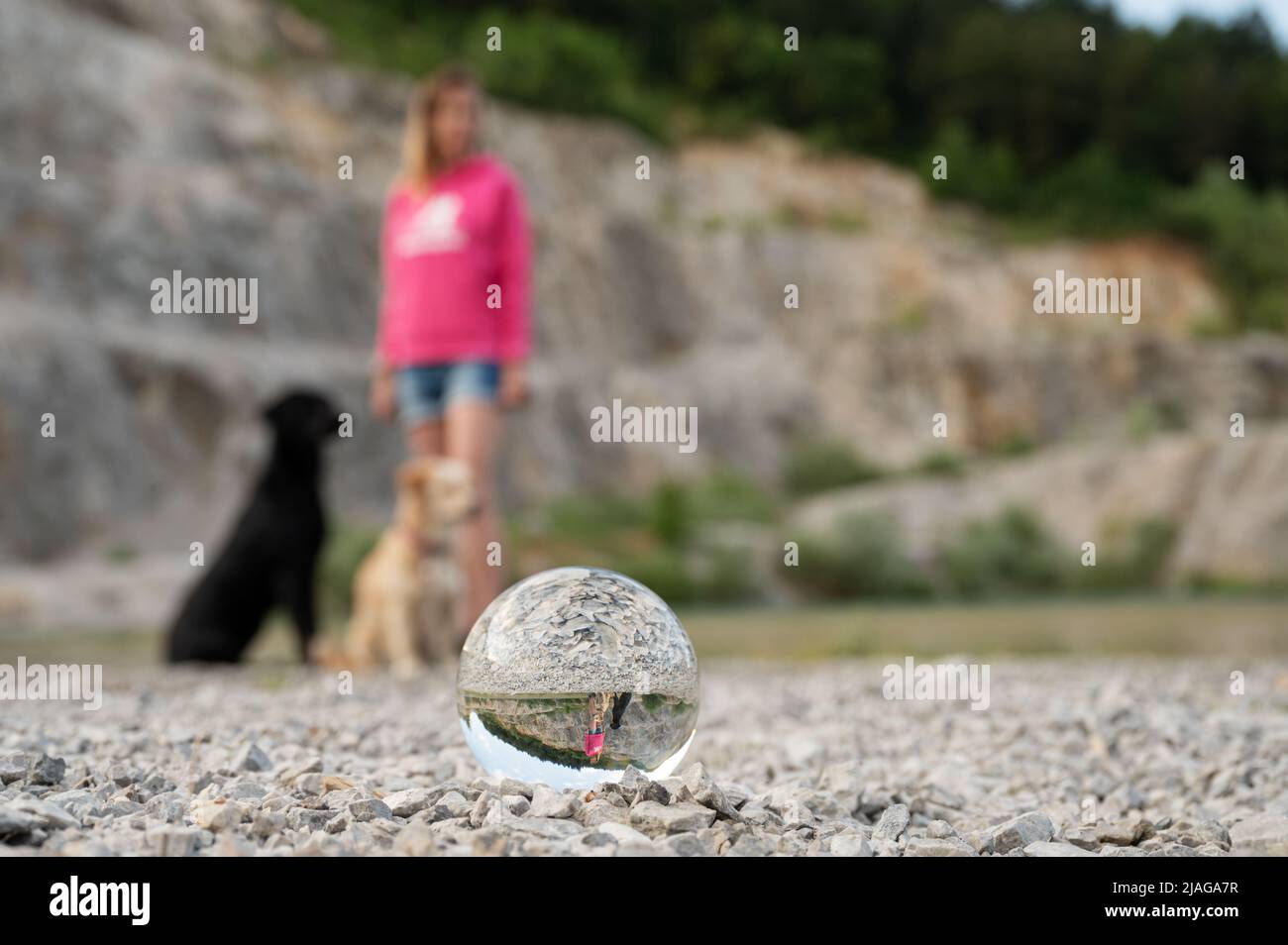 Crystal trainer hi-res stock photography and images - Alamy