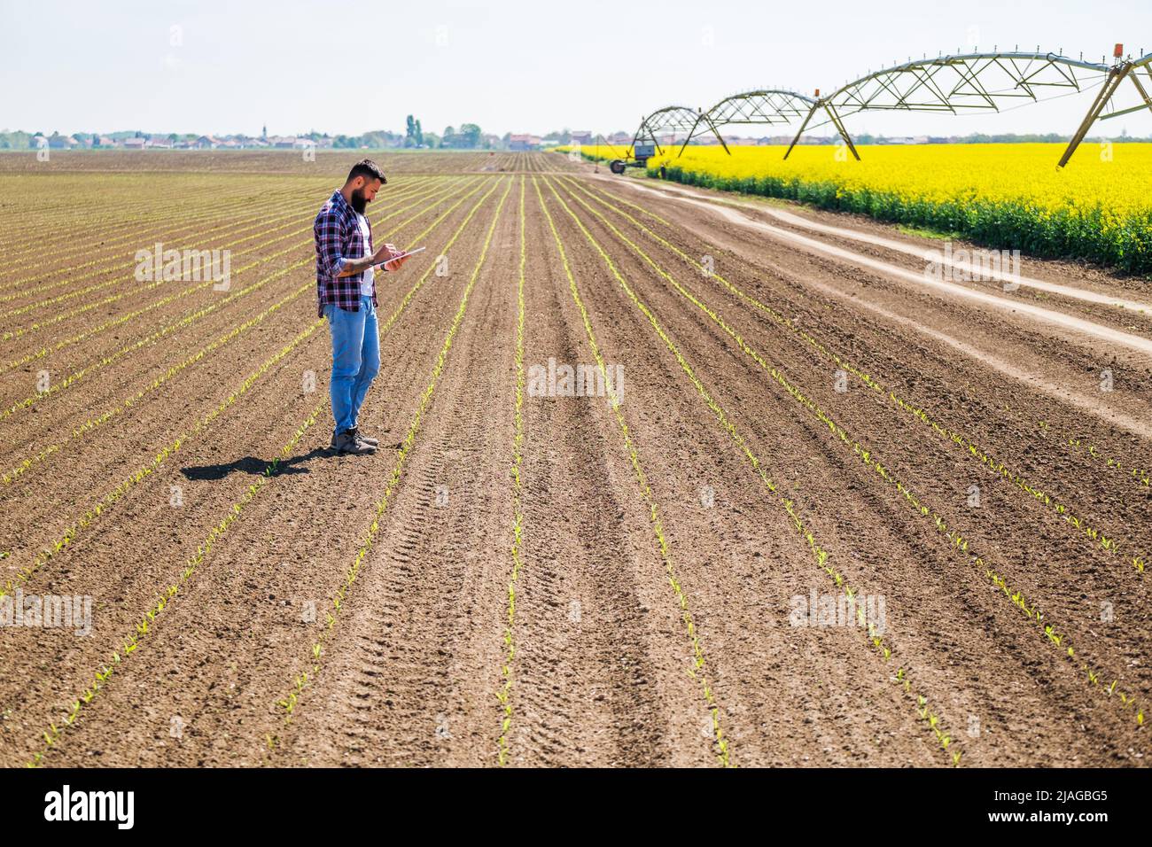 Farmer is examining the progress of crops in his corn field Stock Photo ...