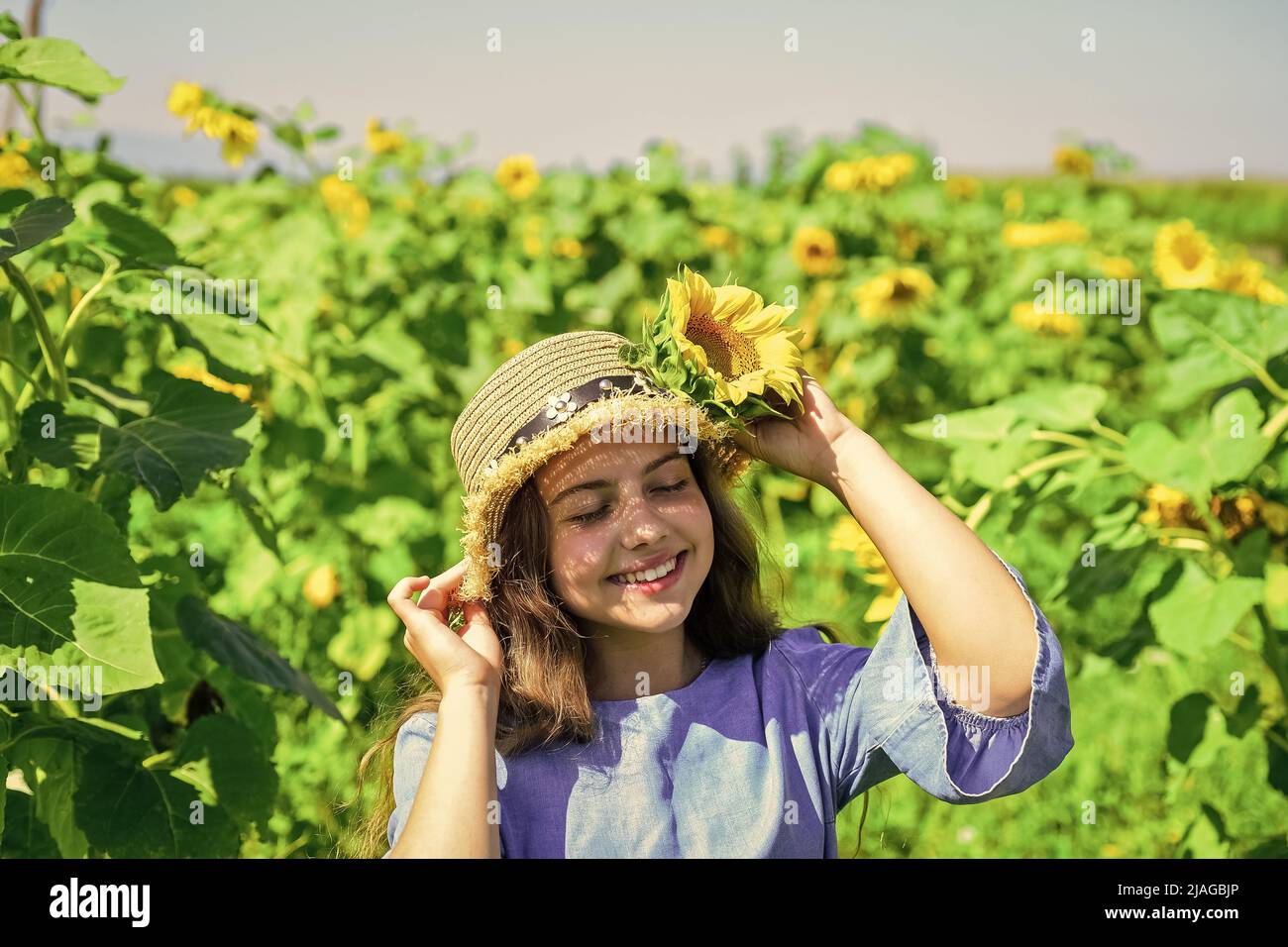 Beautiful face little girl playing sunflowers nature background, good ...