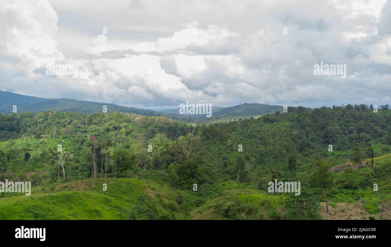 Indonesia forest aerial hi-res stock photography and images - Alamy