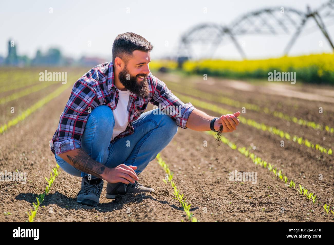 Happy farmer is examining the progress of crops in his corn field. He ...