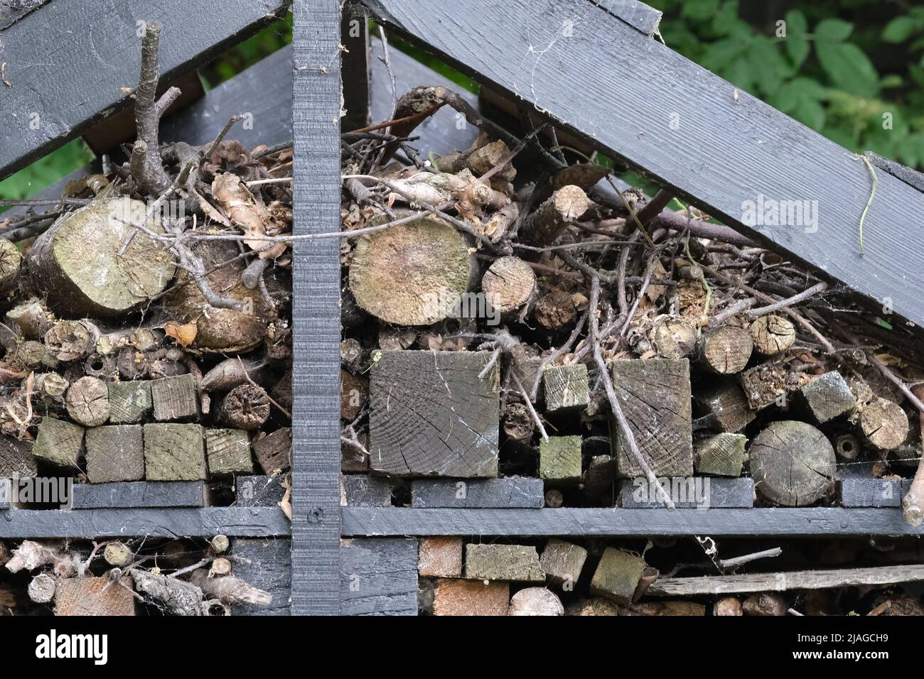 Bug house closeup, selective focus. Insect hotel in British garden ...