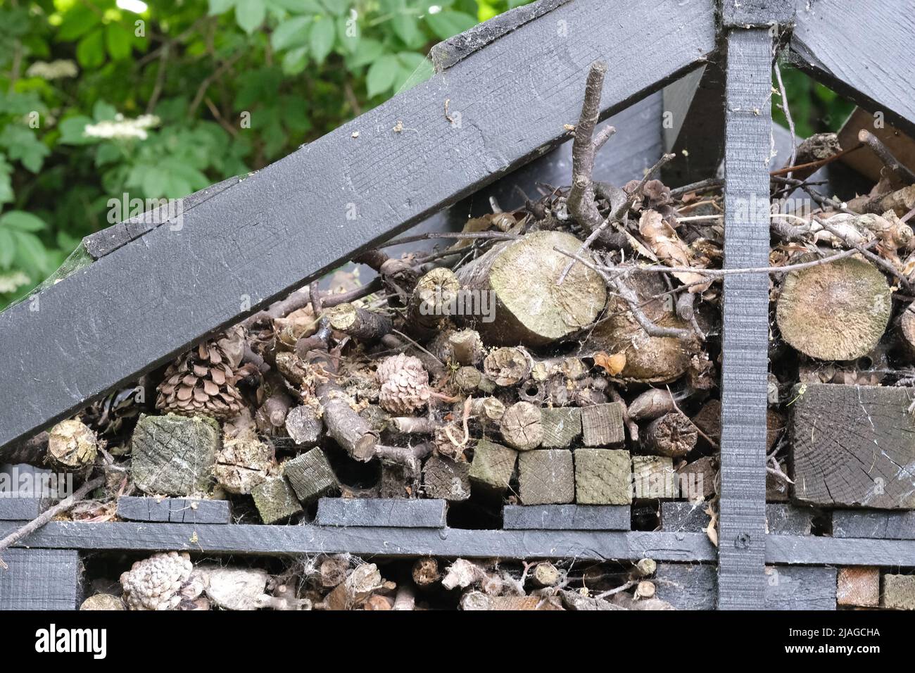 Bug house closeup, selective focus. Insect hotel in British garden ...