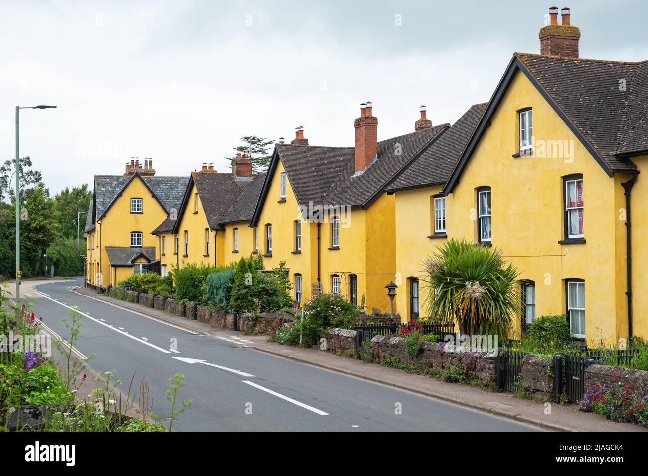 Distinctively painted cottages lining a village roadside in East Devon ...