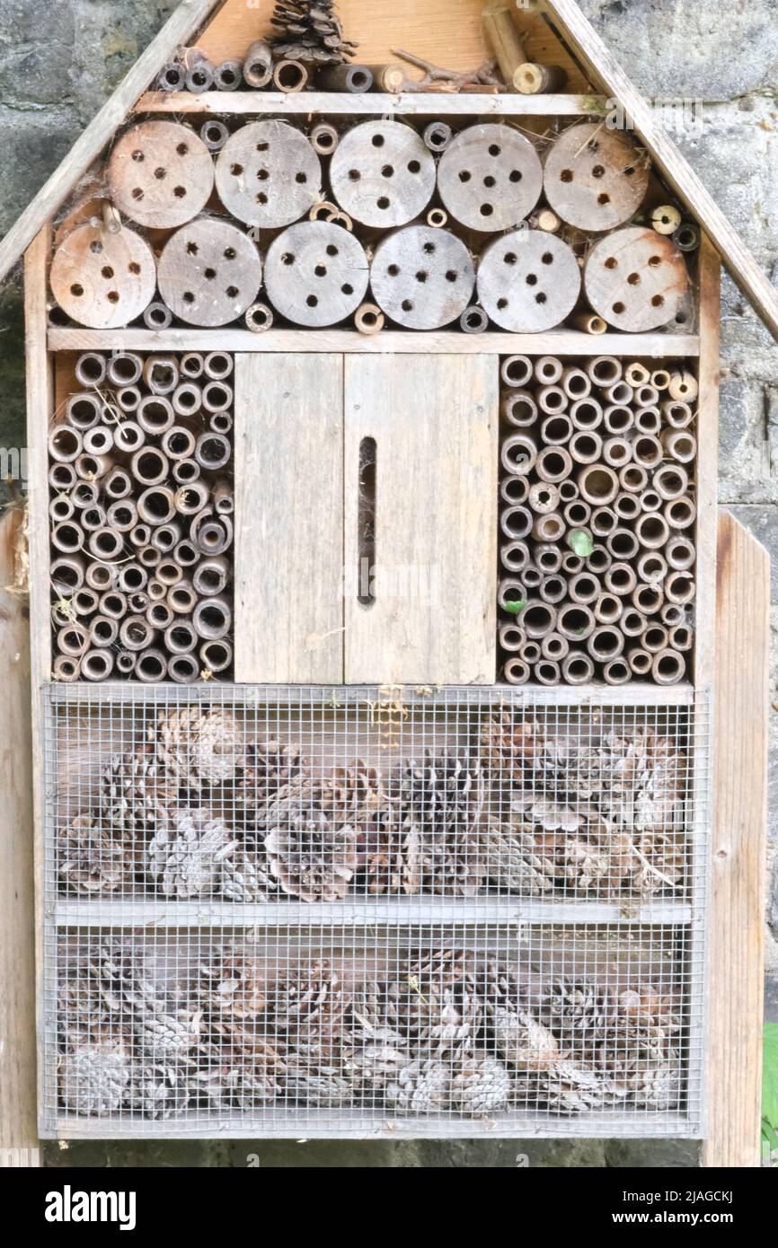 Bug house closeup, selective focus. Insect hotel in British garden ...