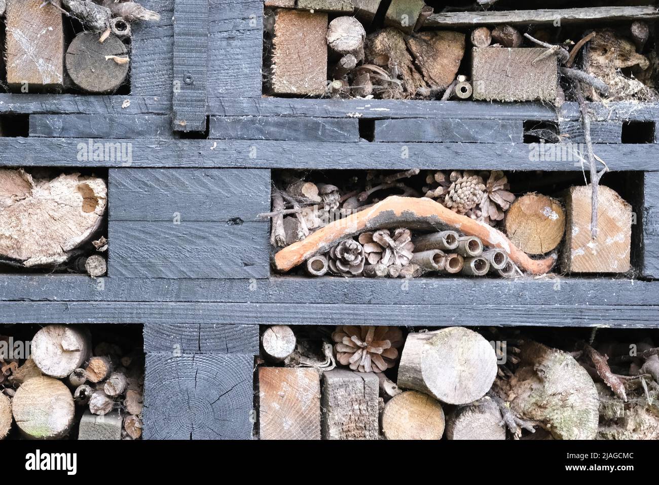 Bug house closeup, selective focus. Insect hotel in British garden ...