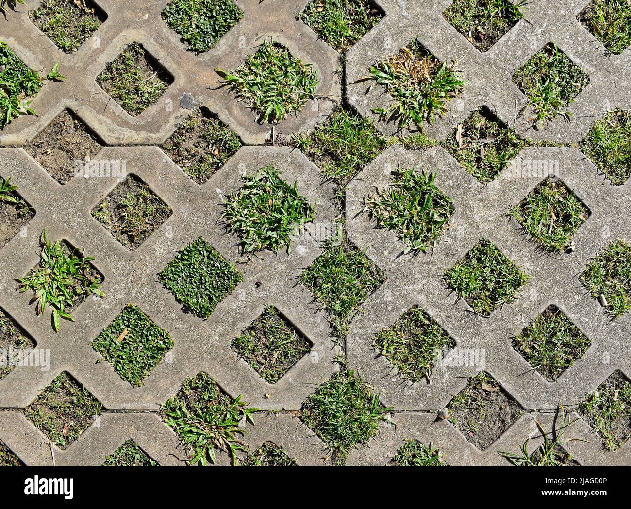 Concrete and grass pattern on public square floor Stock Photo - Alamy