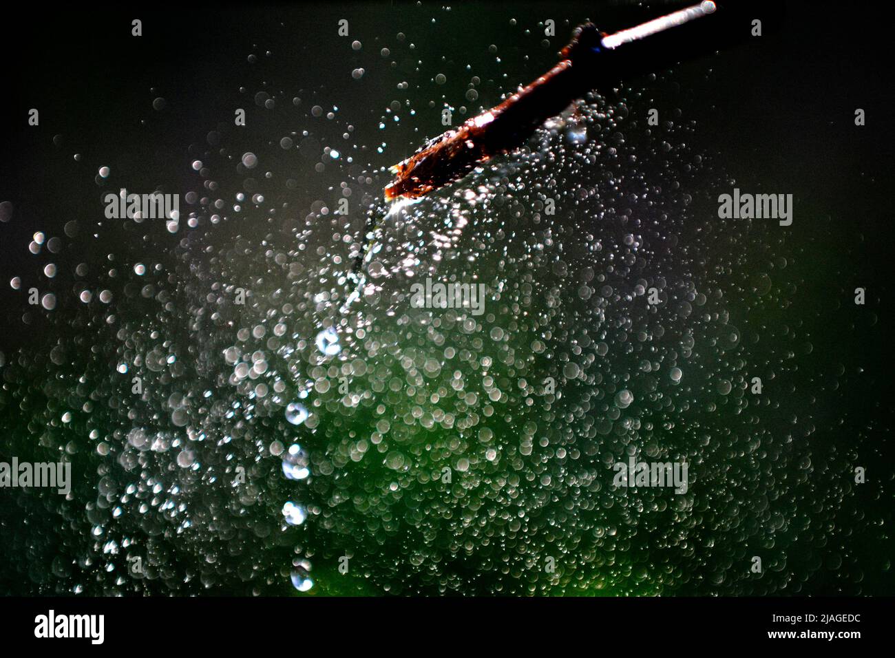 drops of a water are flying around on a green summer background Stock ...