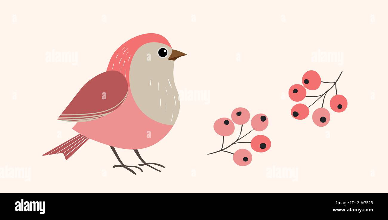 Funny colorful birds, flowers, leaves and berries. Color flat vector ...