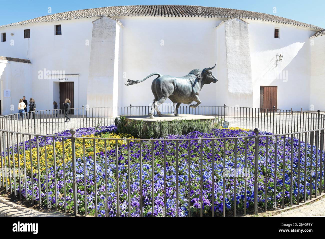 Statue of a bull in front of the bullring and bullfighting museum - one ...