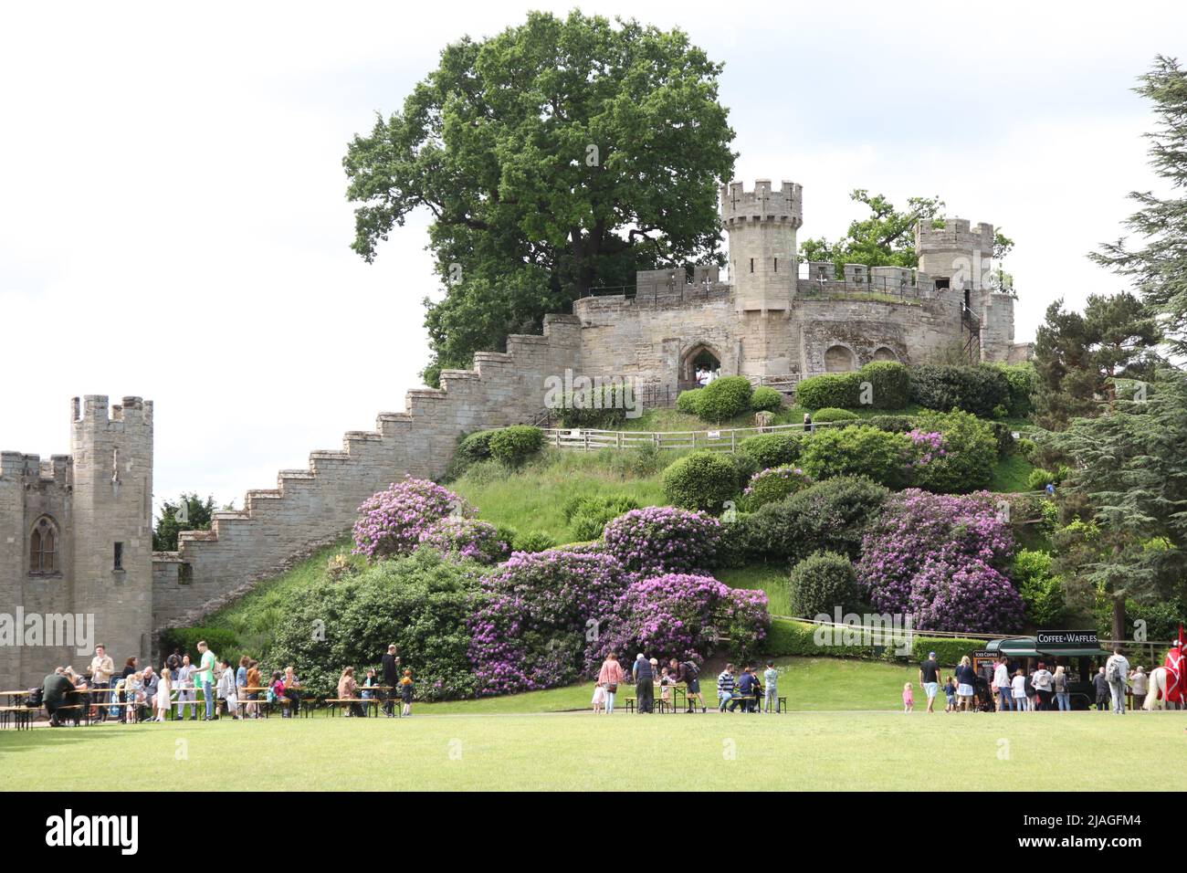 The Northern Tower at Warwick Castle with Rhododendron bushes, England ...
