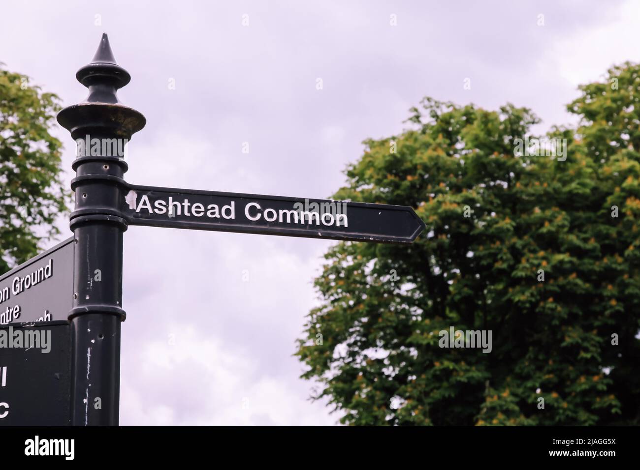 Walking on ashtead common hi-res stock photography and images - Alamy