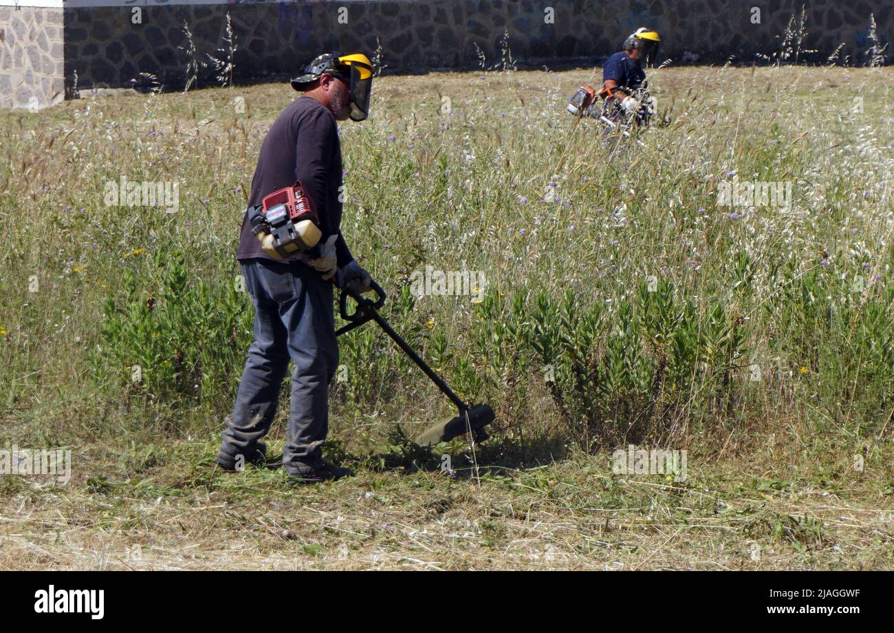 Cutting the grass in spring Stock Photo - Alamy