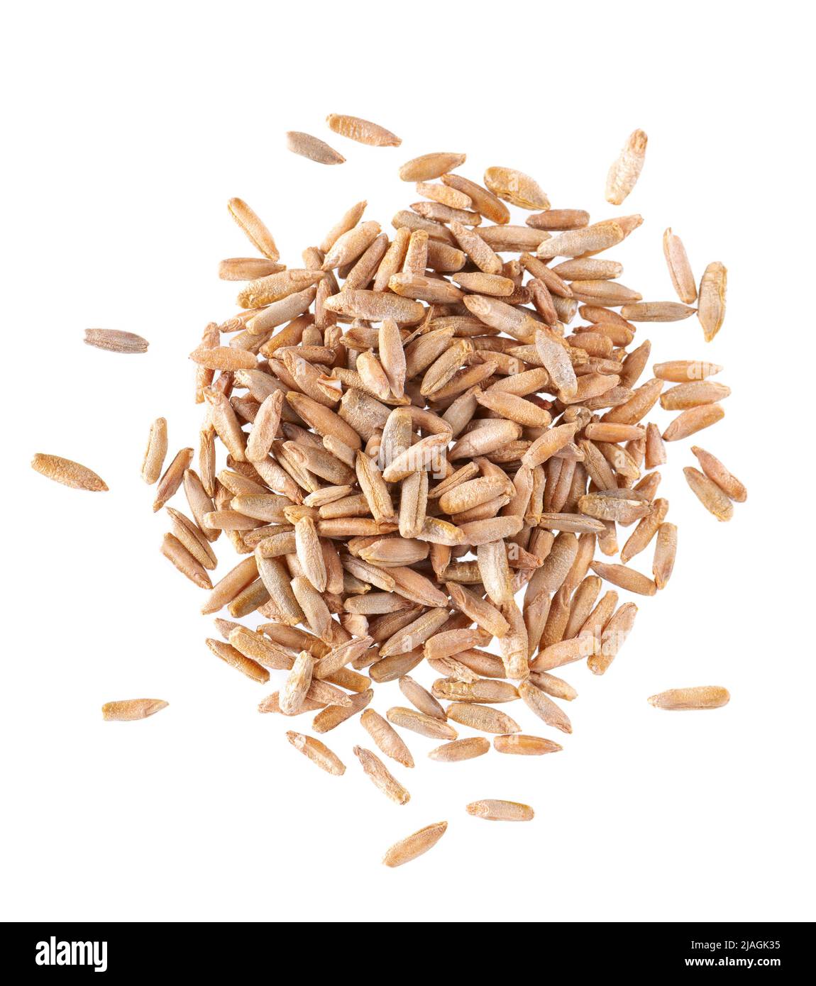 Rye grains isolated on white background. Pile of rye malt seeds close ...