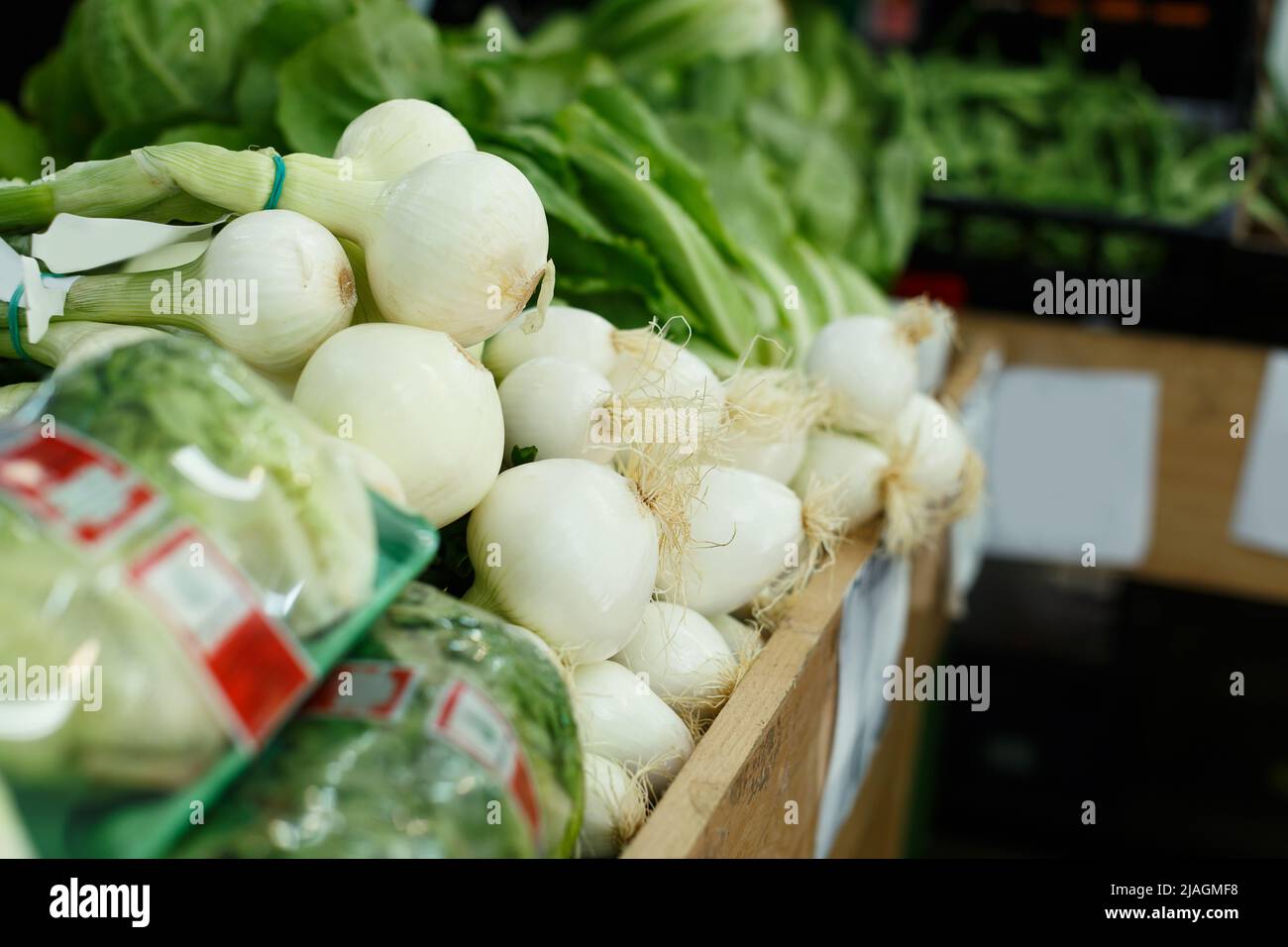 Green onions in boxes at supermarket Stock Photo - Alamy