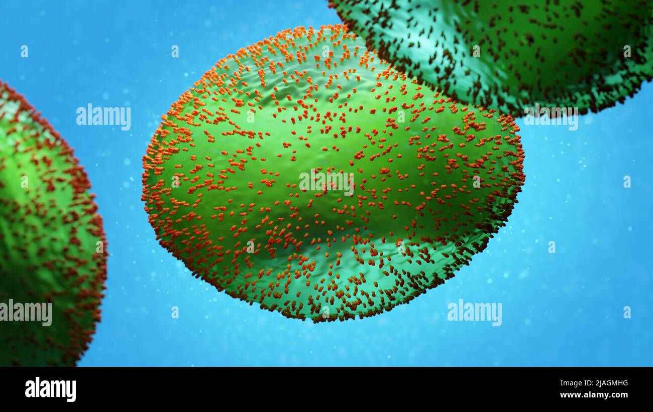 Monkeypox Virus enveloped structure Stock Photo - Alamy