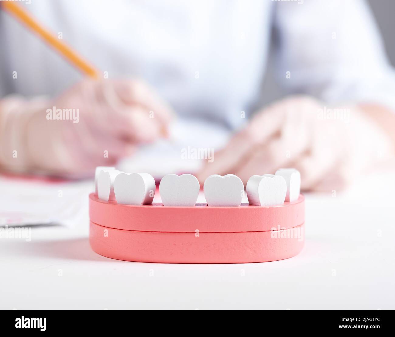 Wooden jaw model with teeth and dentist hands in background. Dental ...