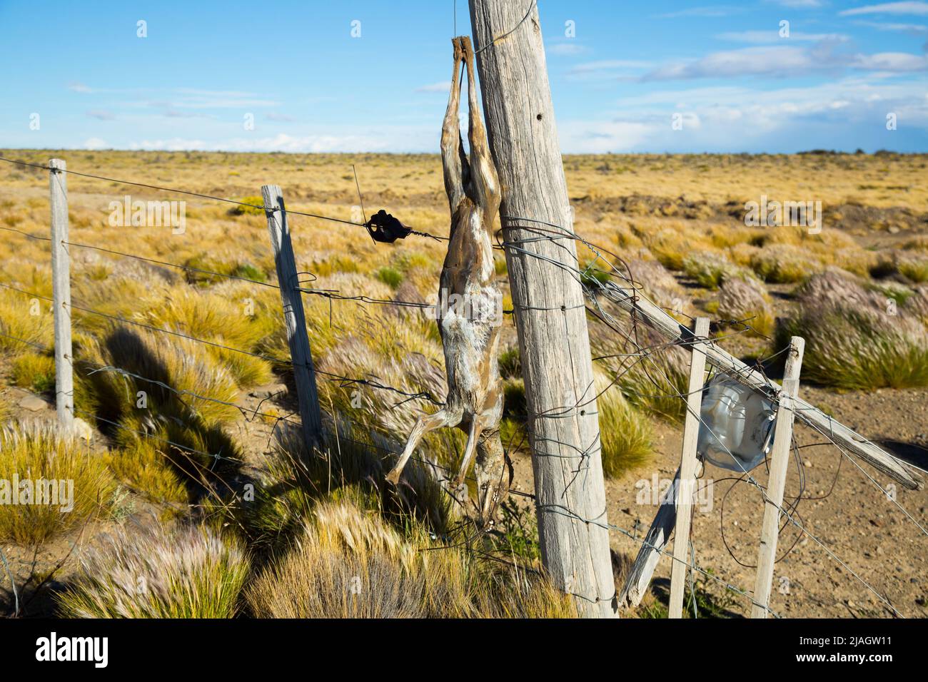 Andes foothills hi-res stock photography and images - Alamy