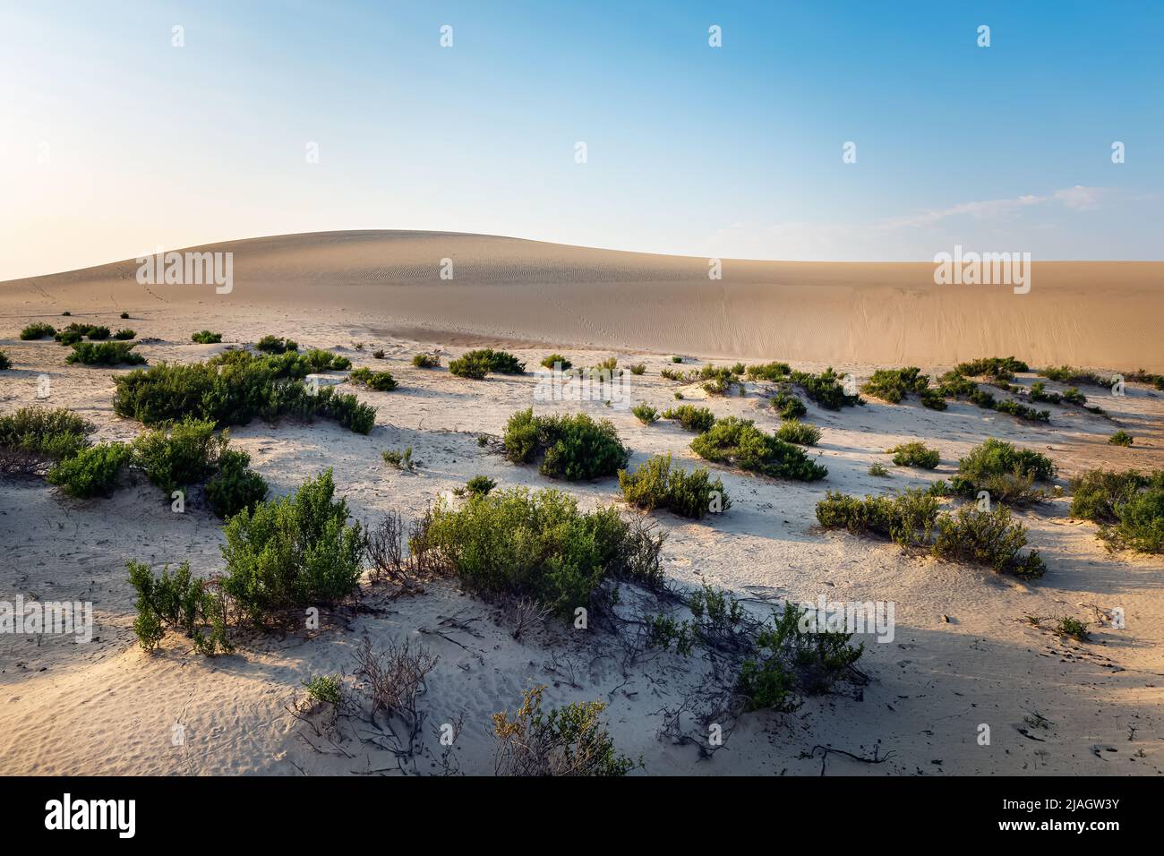 Beautiful Desert landscape view in Dammam Saudi Arabia Stock Photo - Alamy