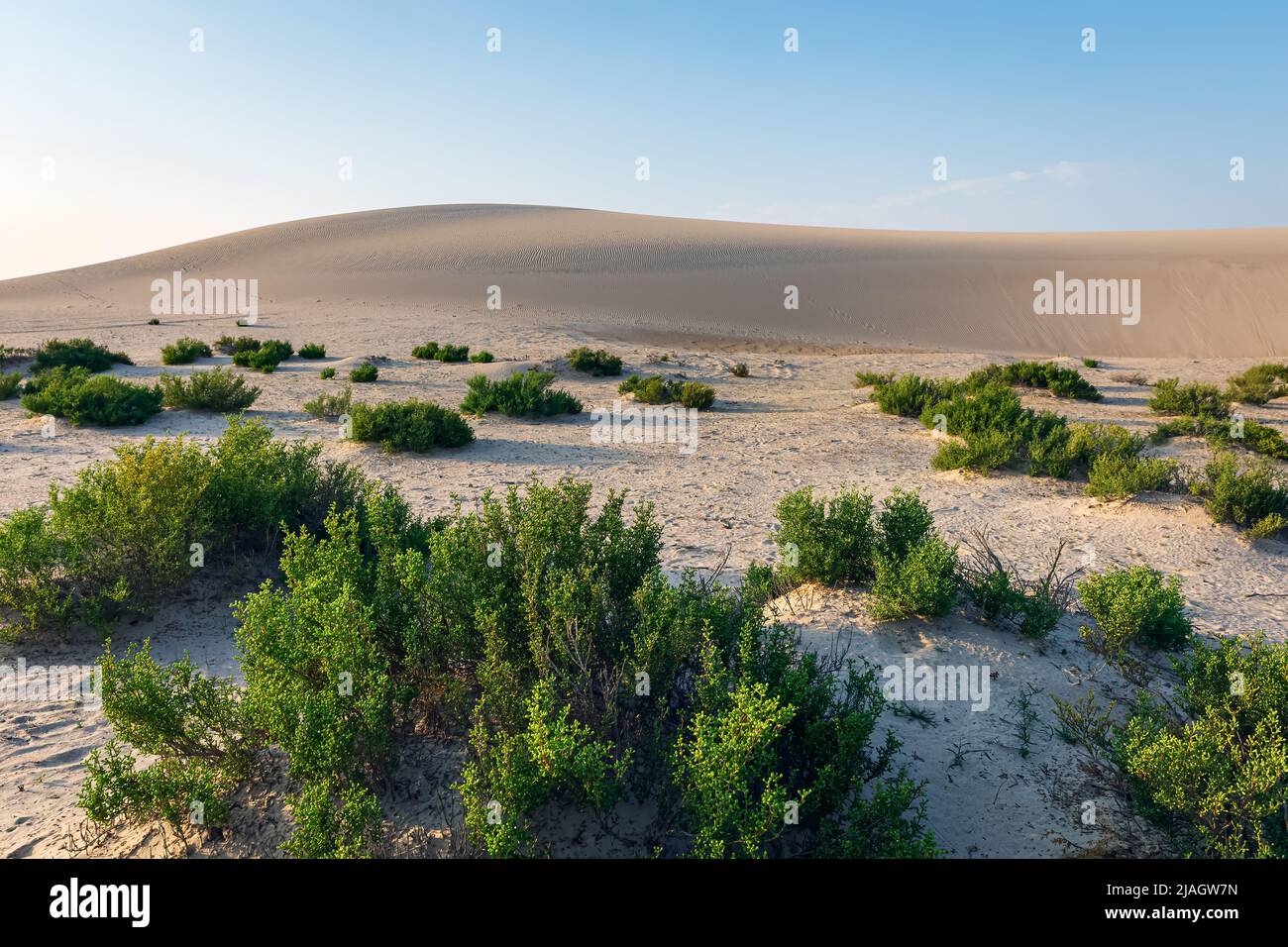 Beautiful Desert landscape view in Dammam Saudi Arabia Stock Photo - Alamy