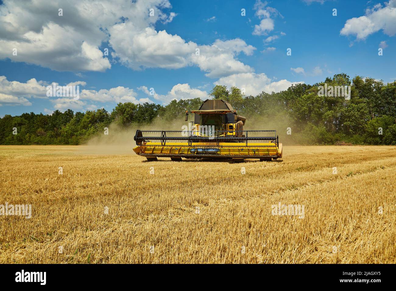 Combine Harvester Cutting Wheat, Summer Landscape of endless Fields ...