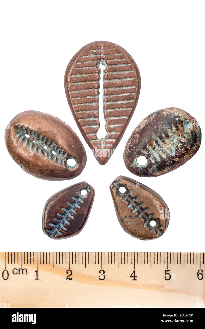 Cowrie shell money hi-res stock photography and images - Alamy