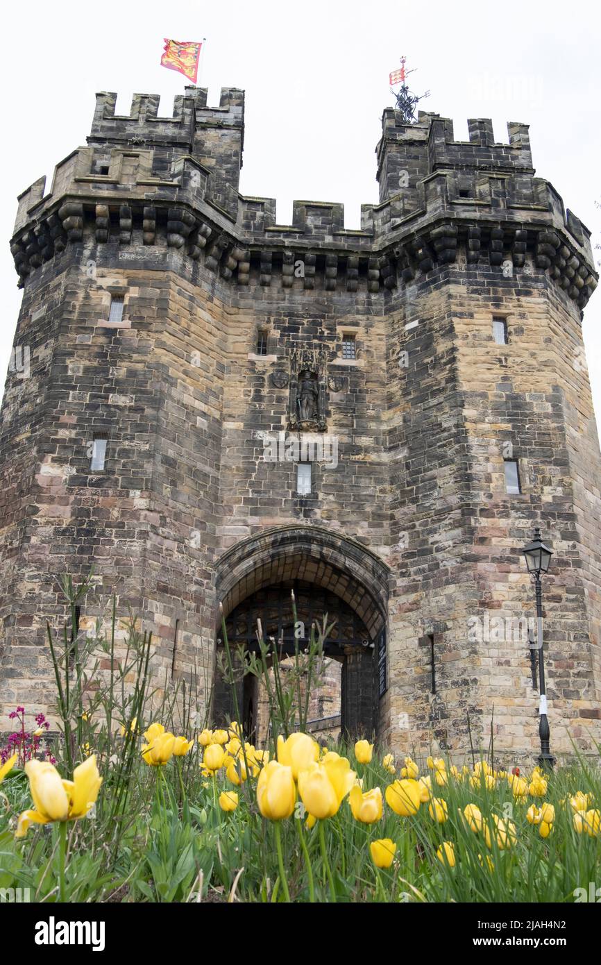 Lancaster Castle entry with yellow tulips, is a medieval castle and ...