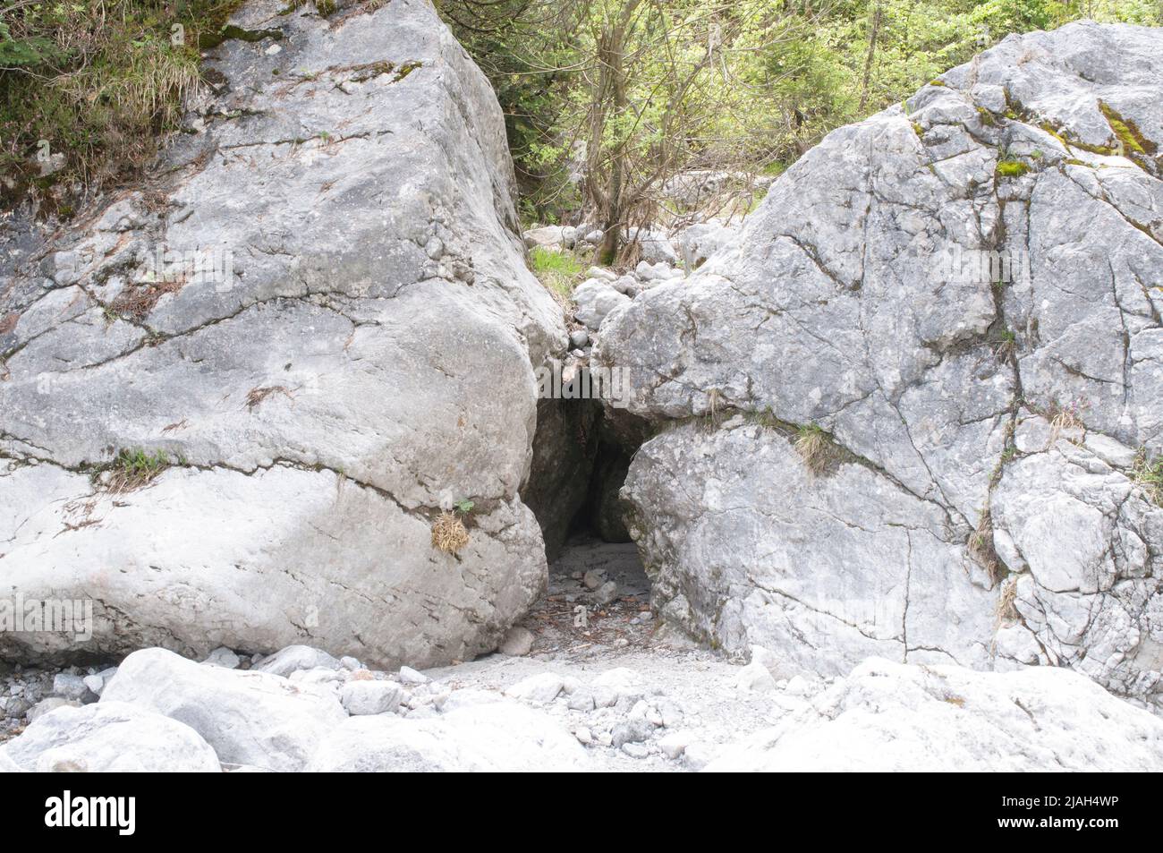 Giant white hi-res stock photography and images - Alamy