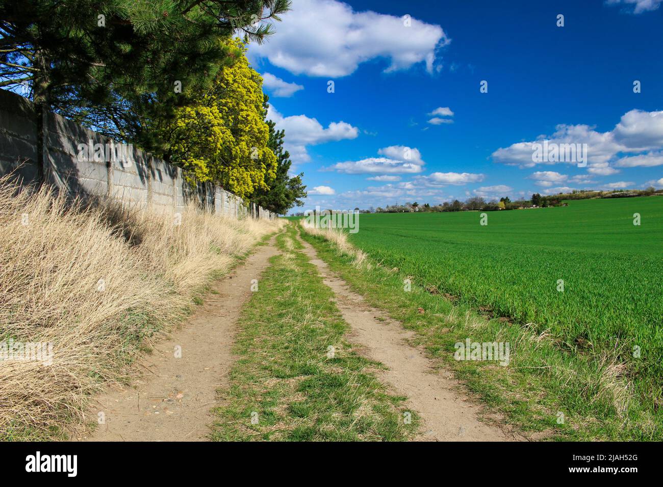 Field path around concrete fence in spring day Stock Photo - Alamy