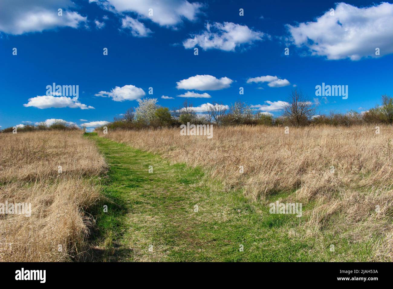 Bush horizon hi-res stock photography and images - Alamy