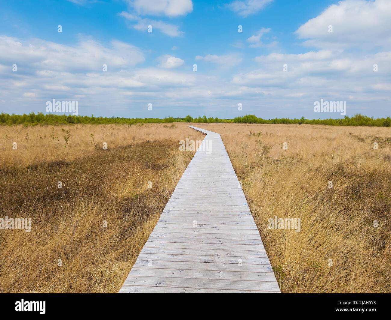 White and blue decking hi-res stock photography and images - Alamy