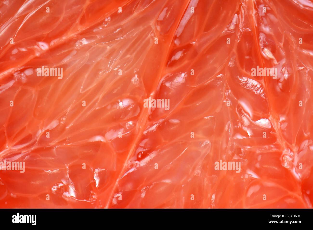 Top view of grapefruit slice, as background. Macro of red grapefruit. fruit citrus grapefruit ...