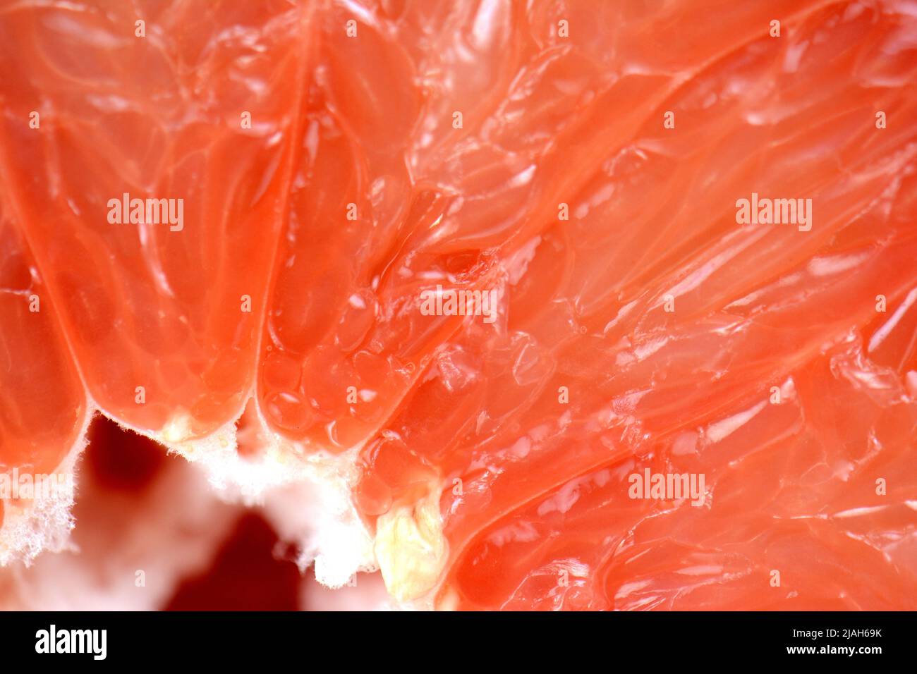Top view of grapefruit slice, as background. Macro of red grapefruit. fruit citrus grapefruit ...