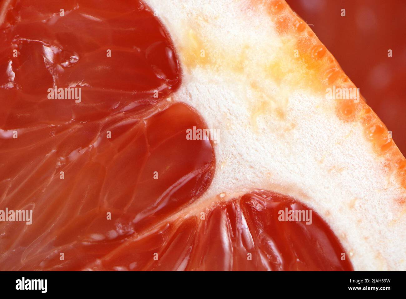 Top view of grapefruit slice, as background. Macro of red grapefruit. fruit citrus grapefruit ...
