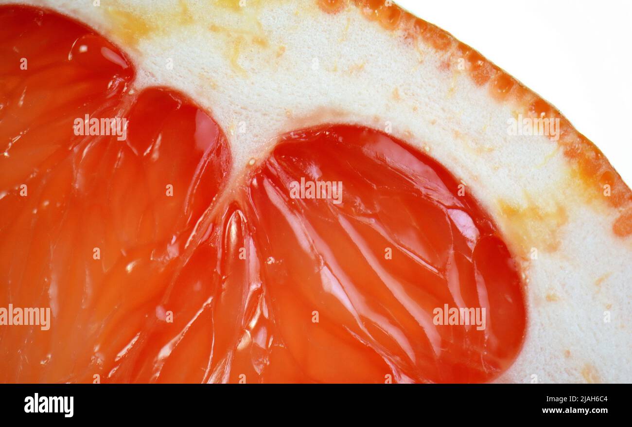 Top view of grapefruit slice, as background. Macro of red grapefruit. fruit citrus grapefruit ...
