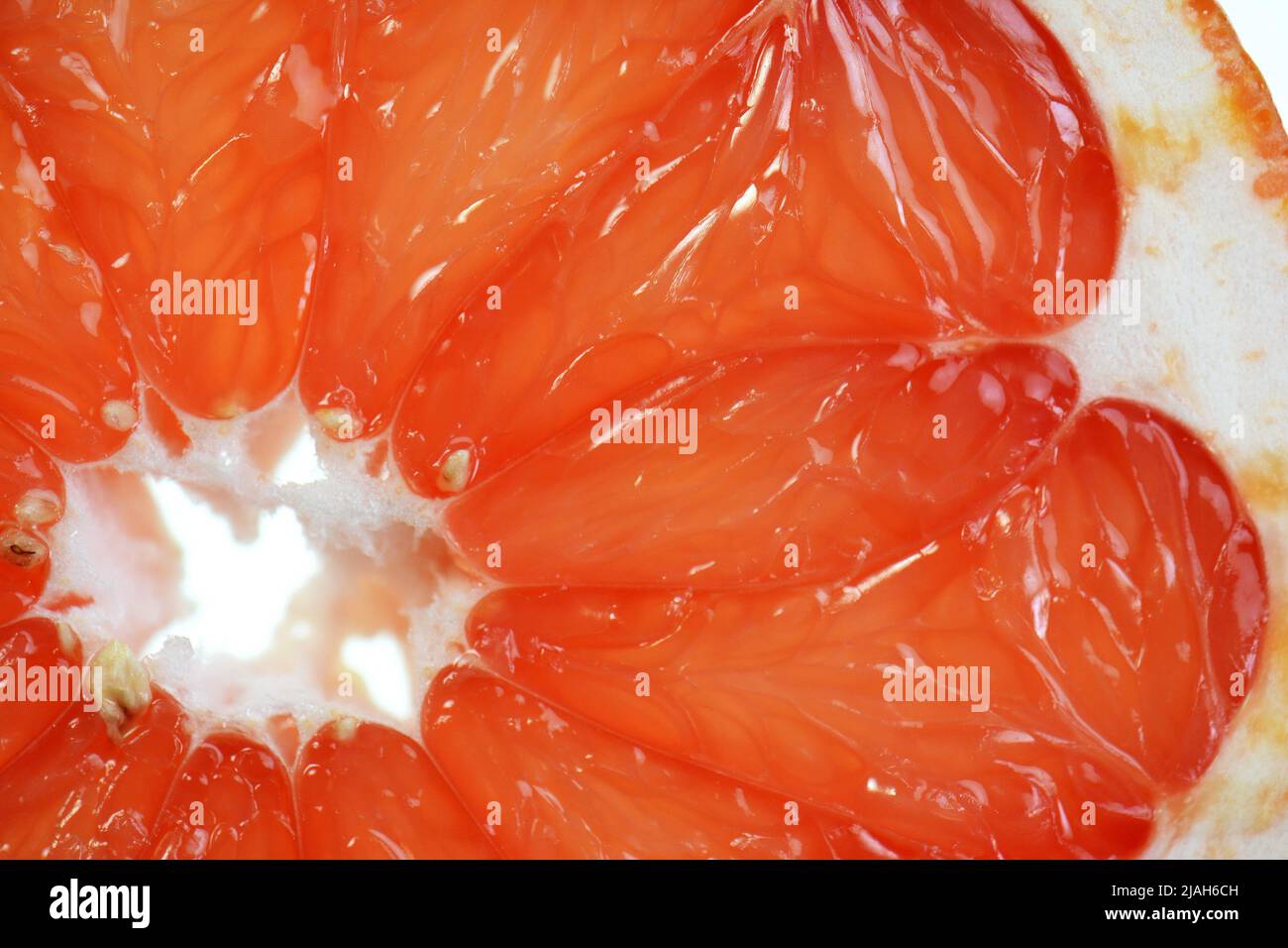 Top view of grapefruit slice, as background. Macro of red grapefruit. fruit citrus grapefruit ...