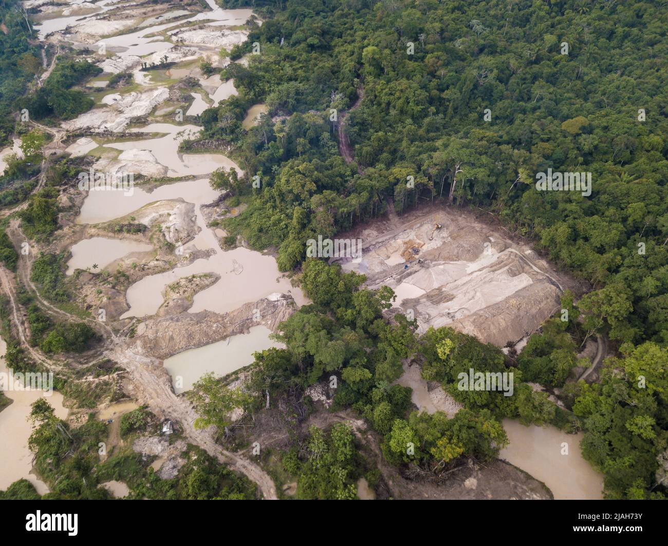 Amazon rainforest deforestation hi-res stock photography and images - Alamy