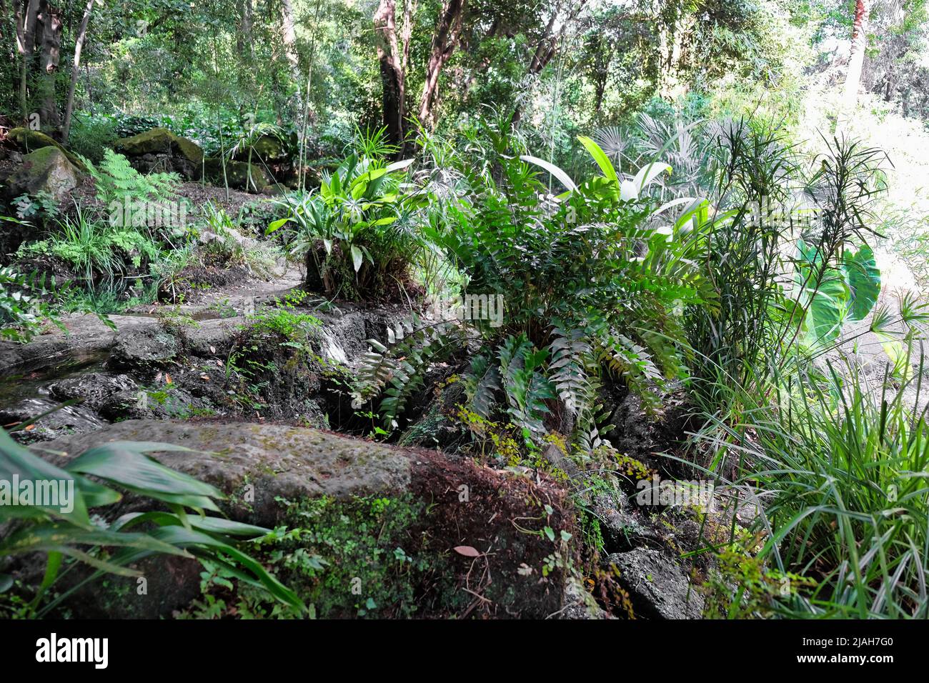 The Bath of Venus, one of the most beautiful parts of the English ...
