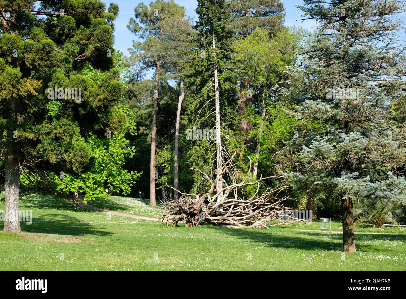 The Bath of Venus, one of the most beautiful parts of the English ...